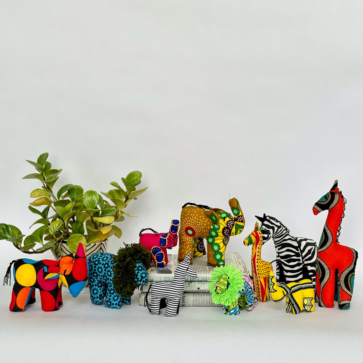 Collections – Zuri