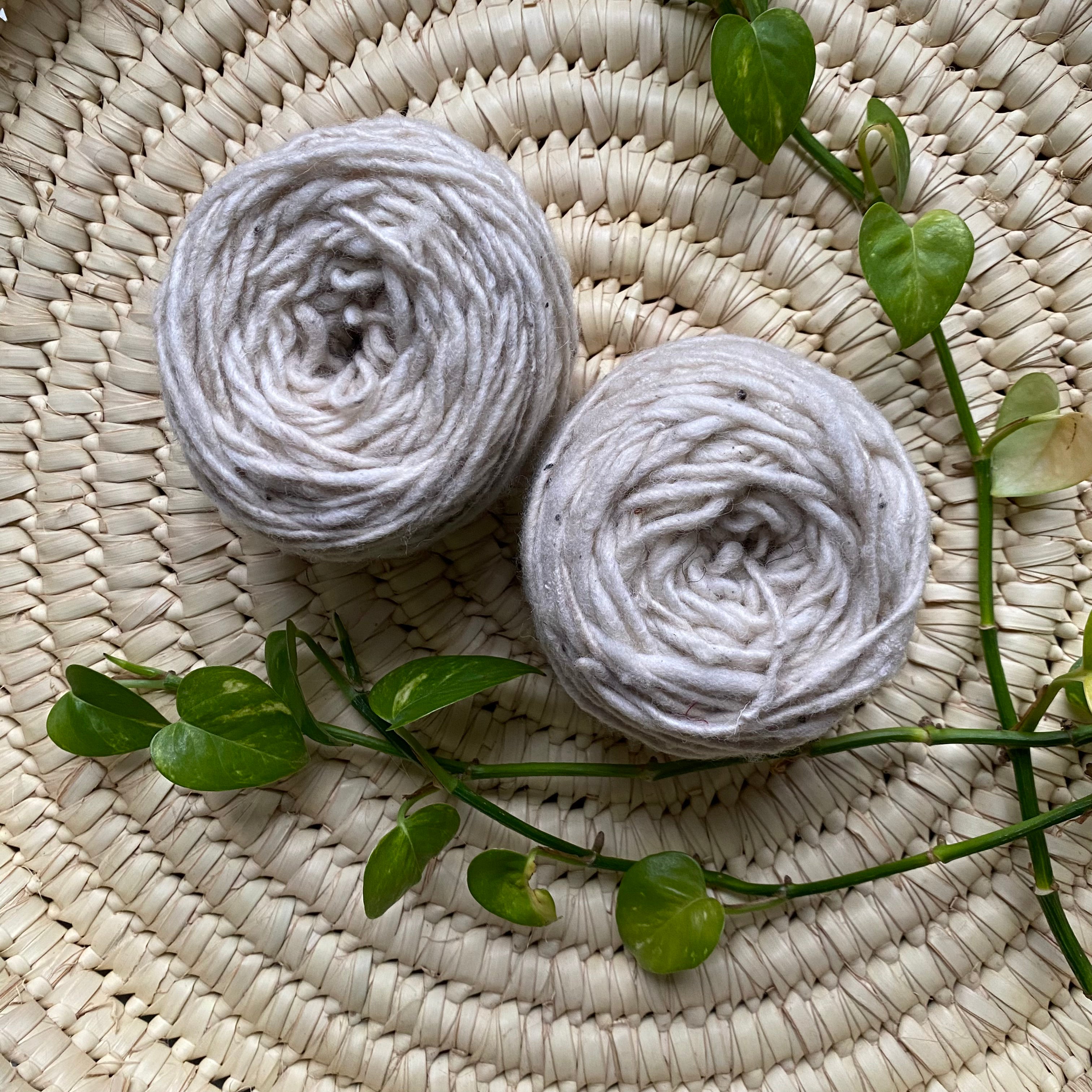 Beginner Knitting Kit – Zuri